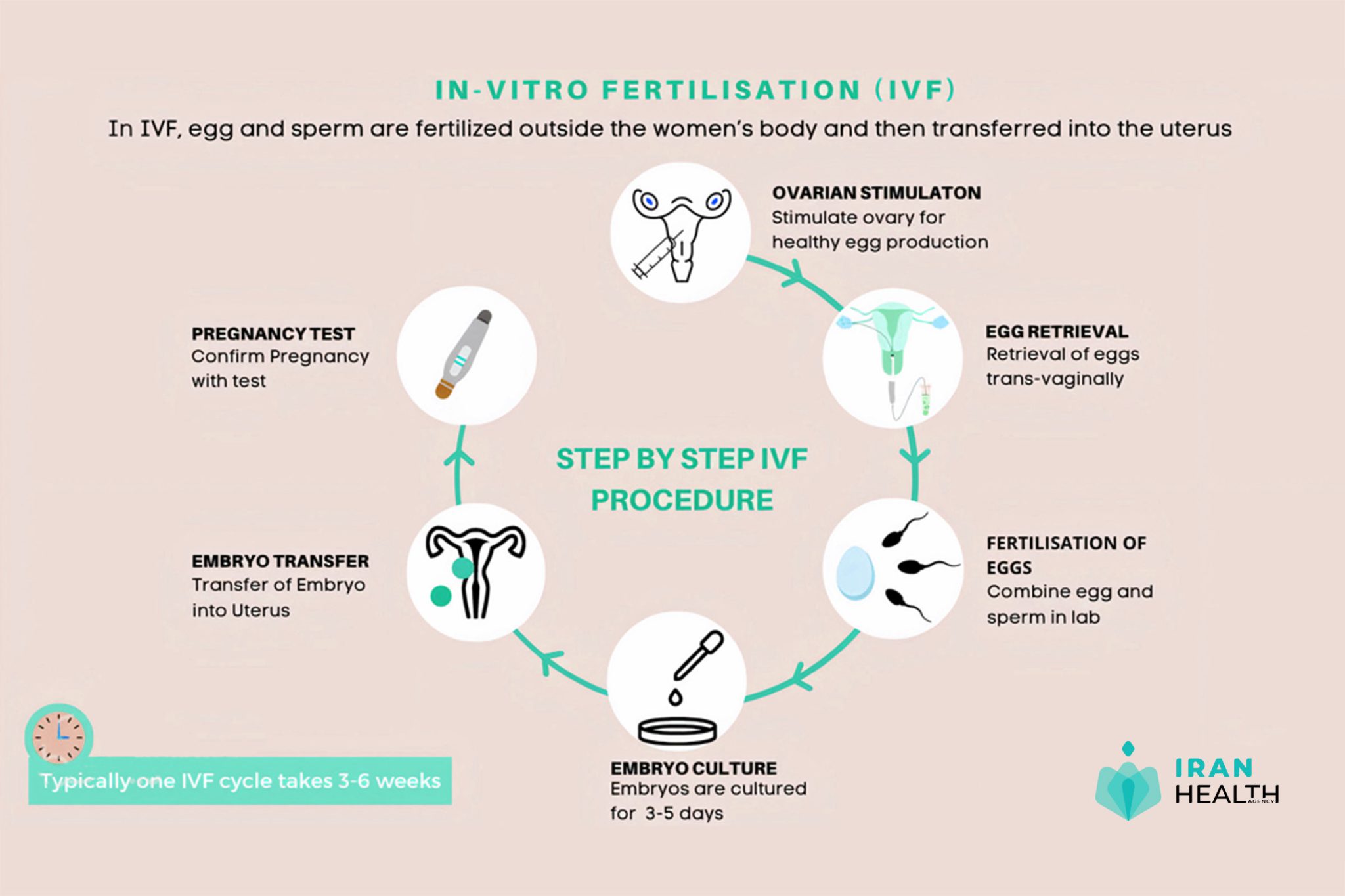 IVF In Iran | In-Vitro Fertilization Treatment - Best Surgeons