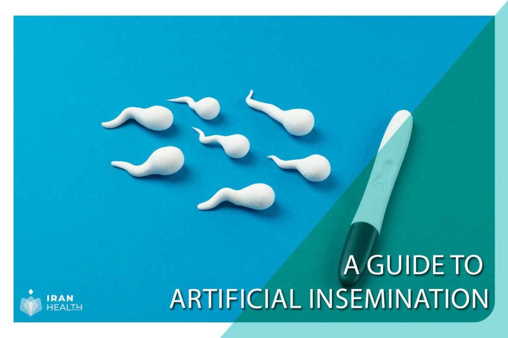 A Guide To Artificial Insemination: The Process, Success Rates, And At ...