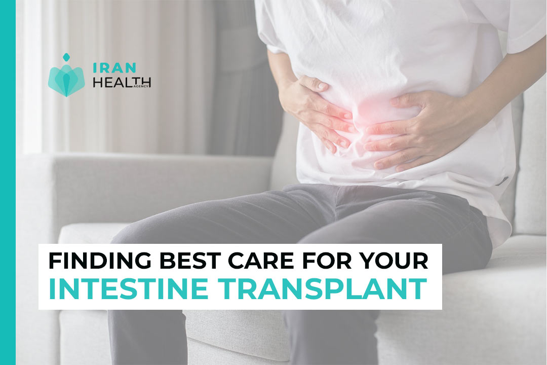 Small Bowel Transplant In Iran | Intestine Transplant, Best Cost & Hospital