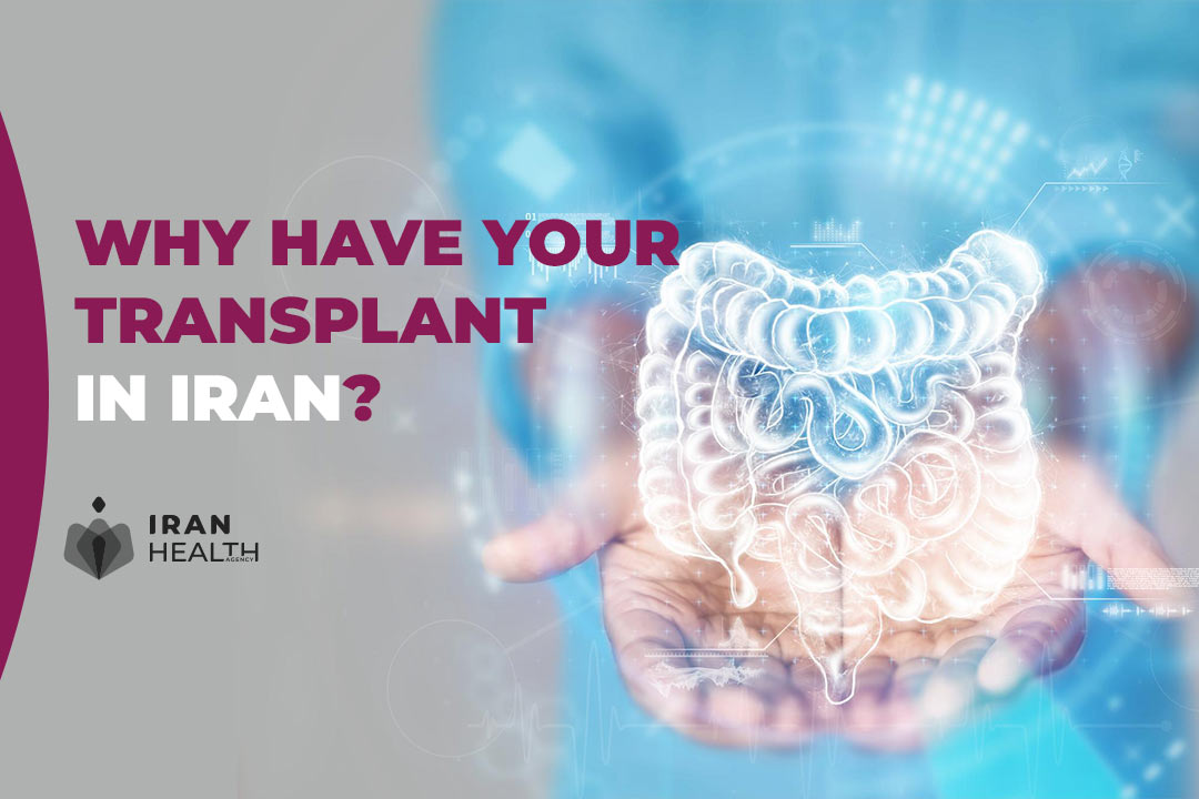 Small Bowel Transplant In Iran | Intestine Transplant, Best Cost & Hospital