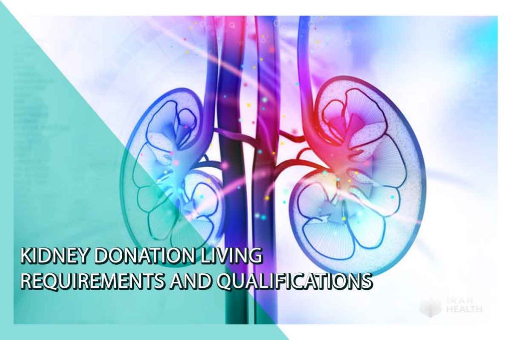 Kidney Donation Living Requirements And Qualifications | Iran Health Agency